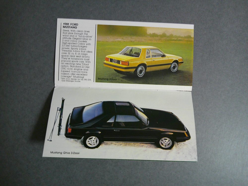 1981 Ford Sales Catalog | Merrick Auto Museum